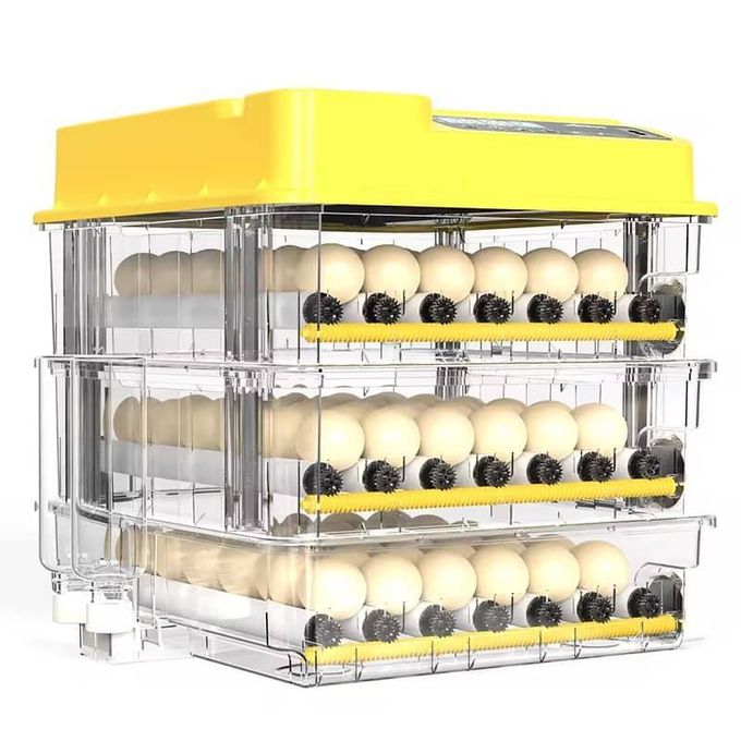 Hhd Couveuse automatique d'œufs nouveau modèle moyen