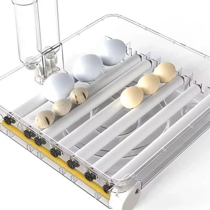 Hhd Couveuse automatique d'œufs nouveau modèle moyen